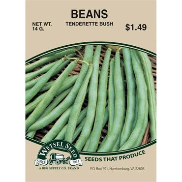 Tenderette Bush Beans | Beeson's Nursery