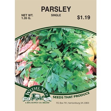 Plain (Single) Parsley | Beeson's Nursery